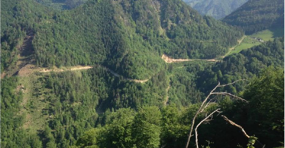 Henning Conle: AfD-Mäzen mit Waldbesitz in Weyer | Nachrichten.at