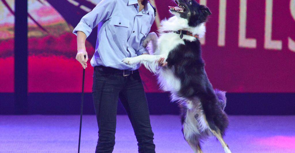 Alexandra Plank und Border Collie Esprit | Nachrichten.at
