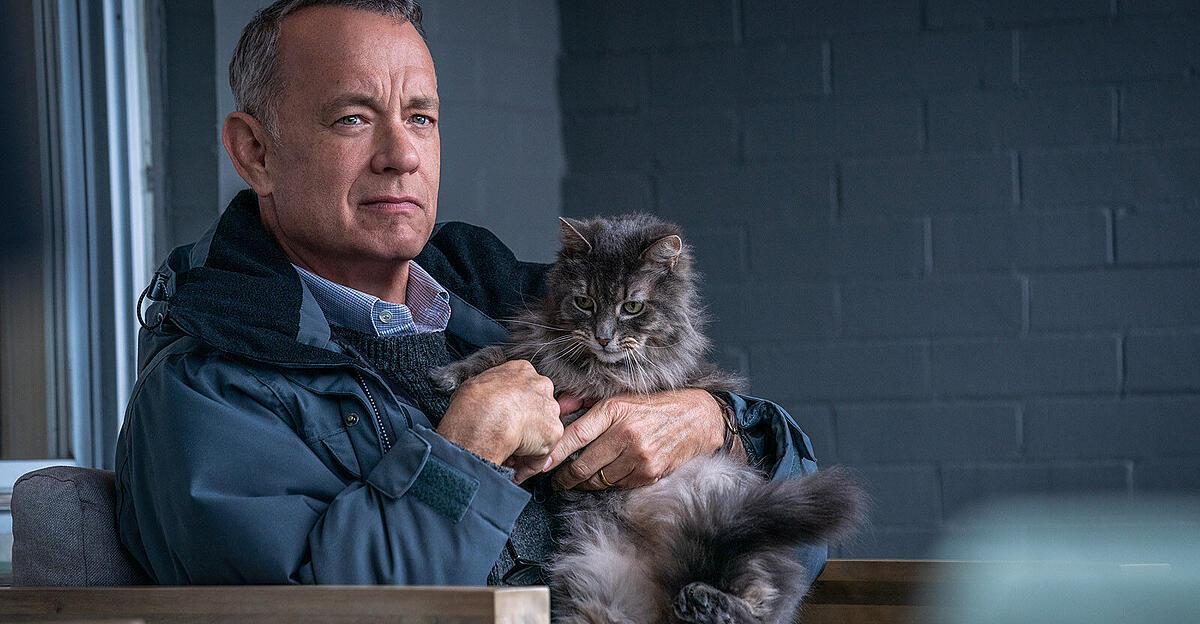 Tom Hanks: Eine Katze stahl ihm auf dem Roten Teppich die Show ...