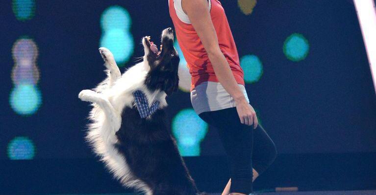 Alexandra Plank und Border Collie Esprit | Nachrichten.at