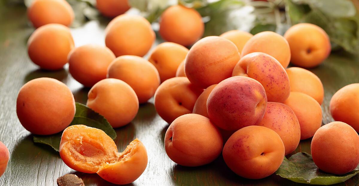 Wie die Marille von China nach Österreich kam | Nachrichten.at