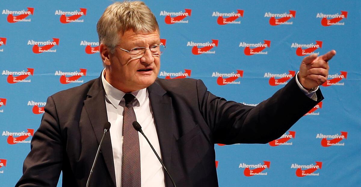 AfD-Vorsitzender Meuthen verlässt die Partei | Nachrichten.at