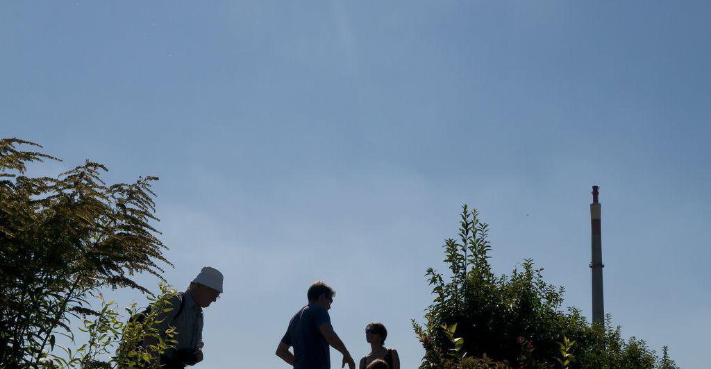 Wildes Linzer Land zwischen der Industrie | Nachrichten.at