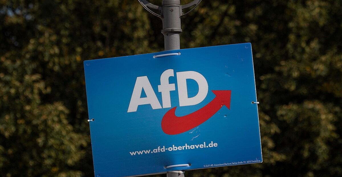 "Gekommen, um zu bleiben": Zehn Jahre AfD in Deutschland | Nachrichten.at