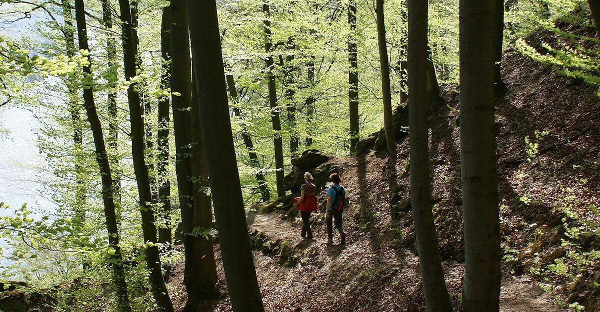 Das Gute liegt so nah: Wandern rund um Linz | Nachrichten.at