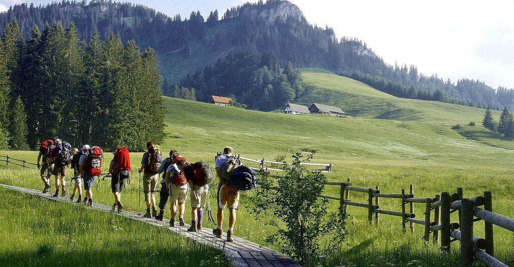 Wandervogel: Revolution in der Natur | Nachrichten.at