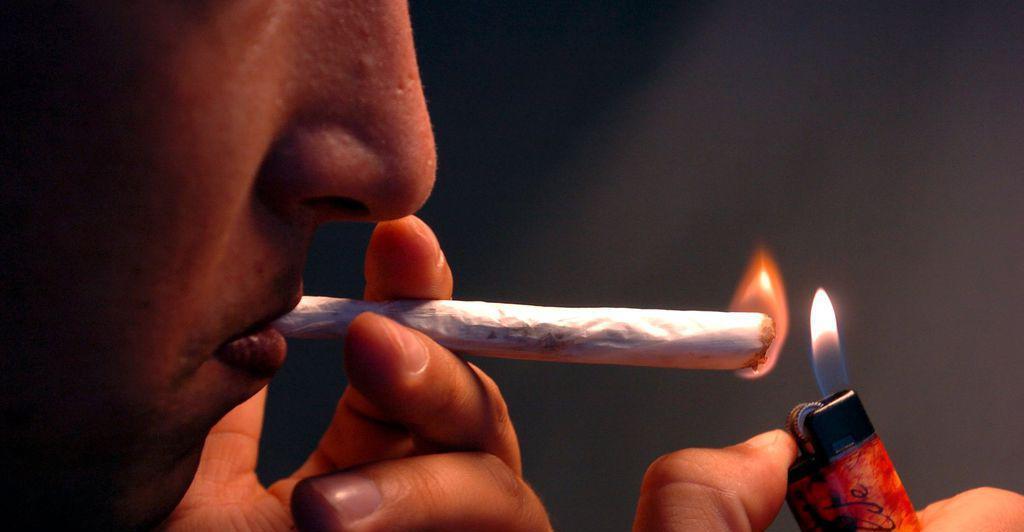 Neid auf Drogen-Plantage: Cannabis-Pflanzen geraubt | Nachrichten.at