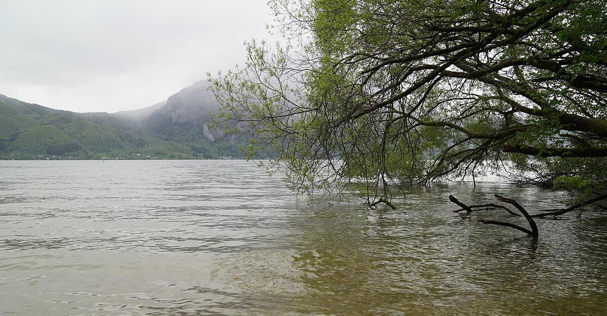 Archäologen vermuten präshistorische Pfahlbausiedlung in Altmünster ...