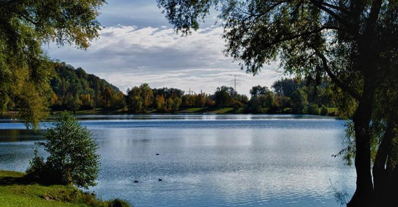 Pleschinger See: Wasserrettung eilte Badegast zu Hilfe | Nachrichten.at