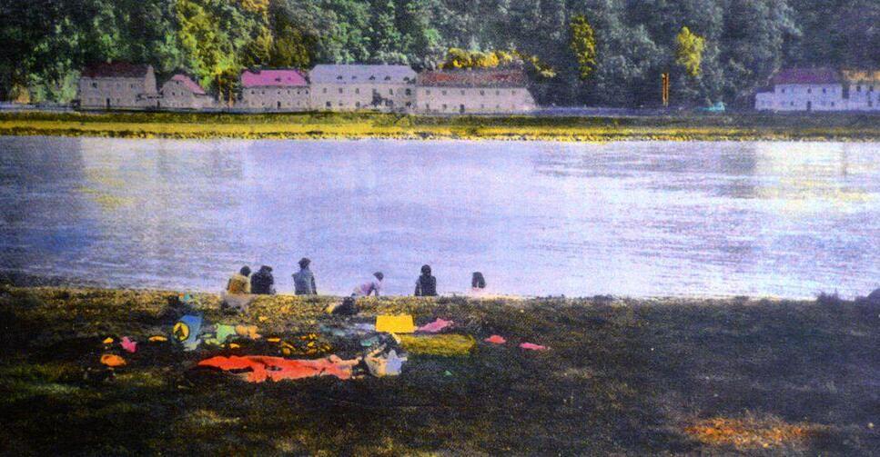 Monika Pichler: Ein Künstlerleben an und mit der Donau | Nachrichten.at