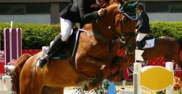 Pferd schlug aus: Springreiter Roland Fischer schwer verletzt ...