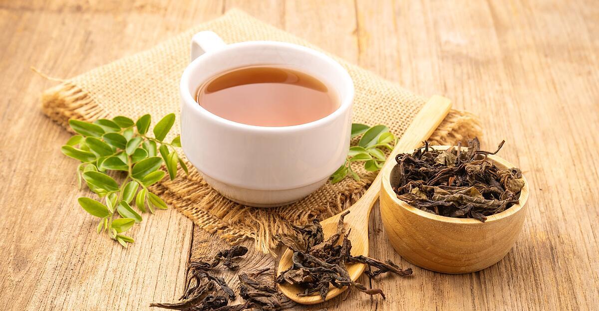 Was ist echter Tee? | Nachrichten.at